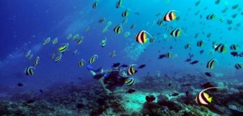 6 Mejores Destinos De Buceo De Europa 【julio 2025】