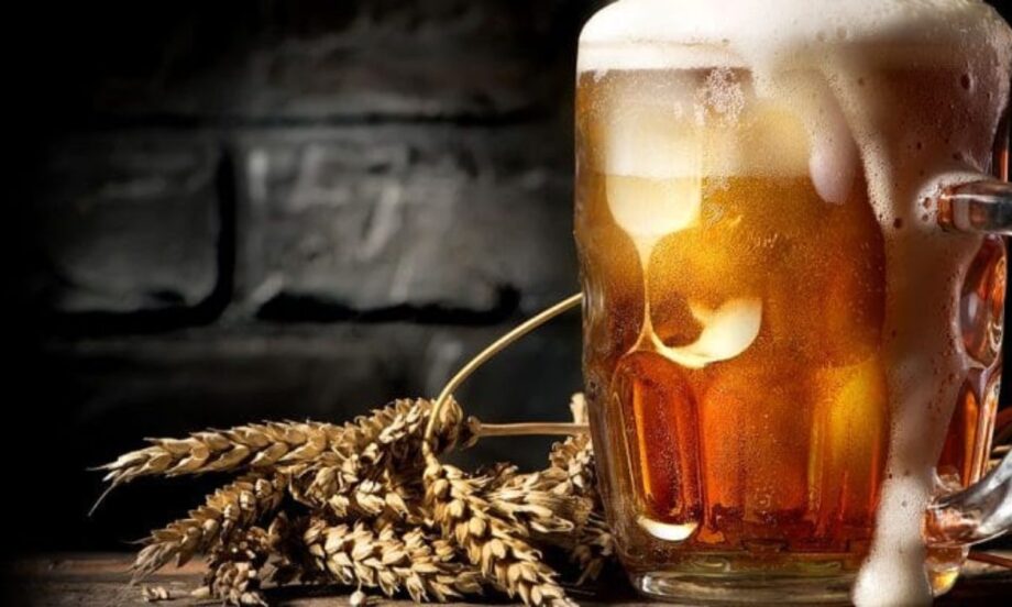 Las Mejores Cervezas Tostadas 0,0% Según La OCU 【marzo 2026】